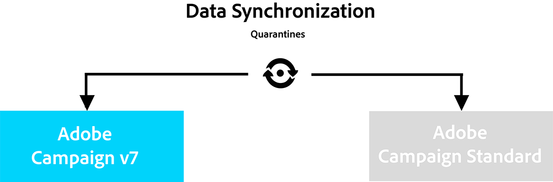 adobe campaign standard release notes