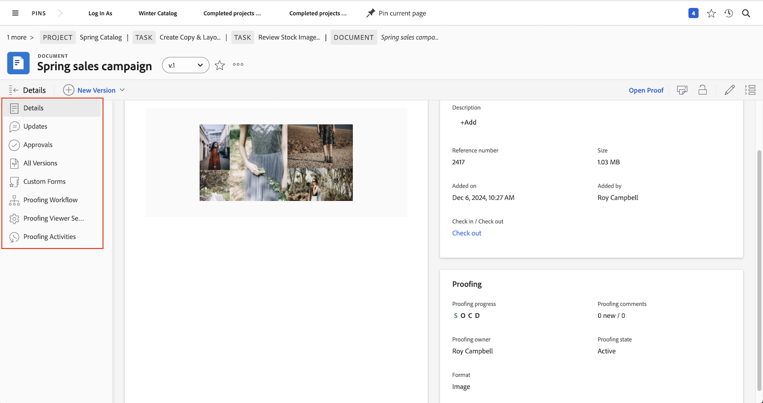 Understand proof details | Adobe Workfront