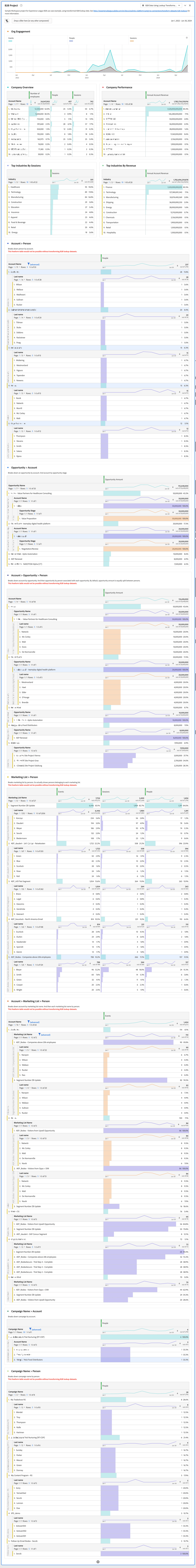 An example B2B project | Adobe Customer Journey Analytics