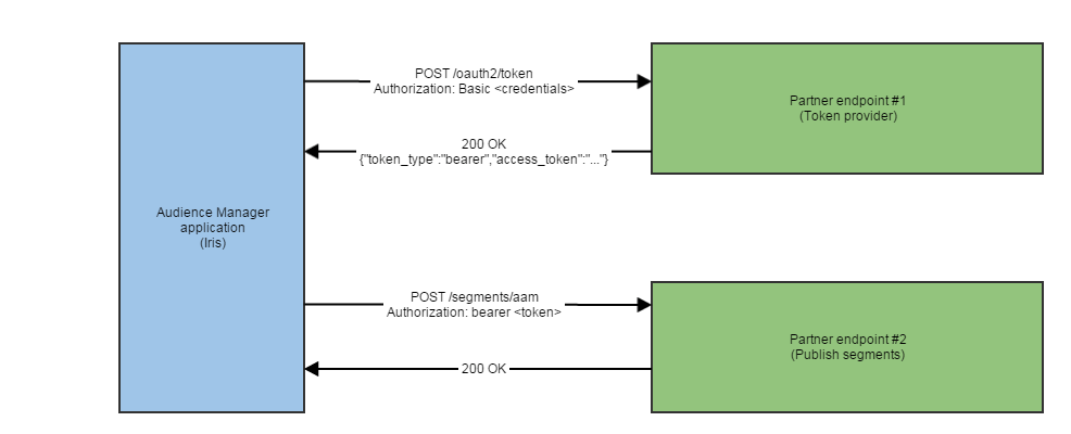 OAuth 2.0 Integration for Real-Time Outbound Transfers | Adobe Audience ...