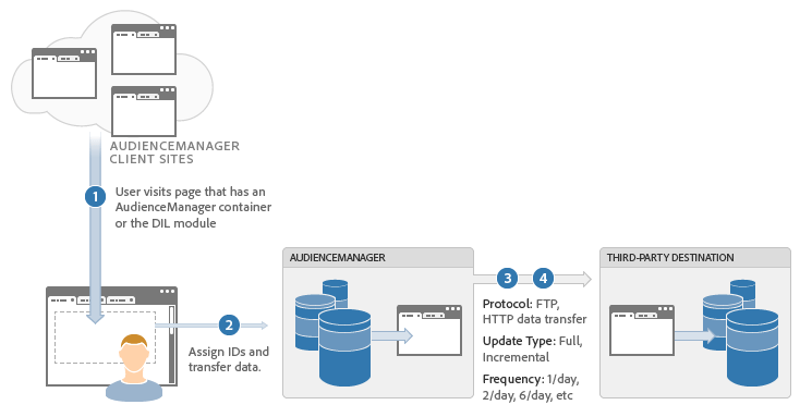Batch Data Transfer Process Described | Adobe Audience Manager
