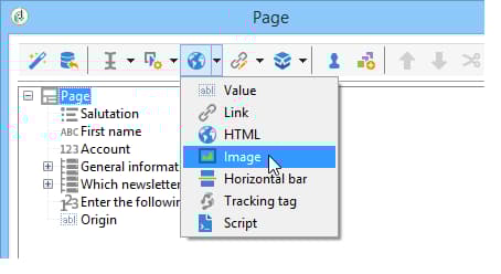Static elements in a web form | Adobe Campaign