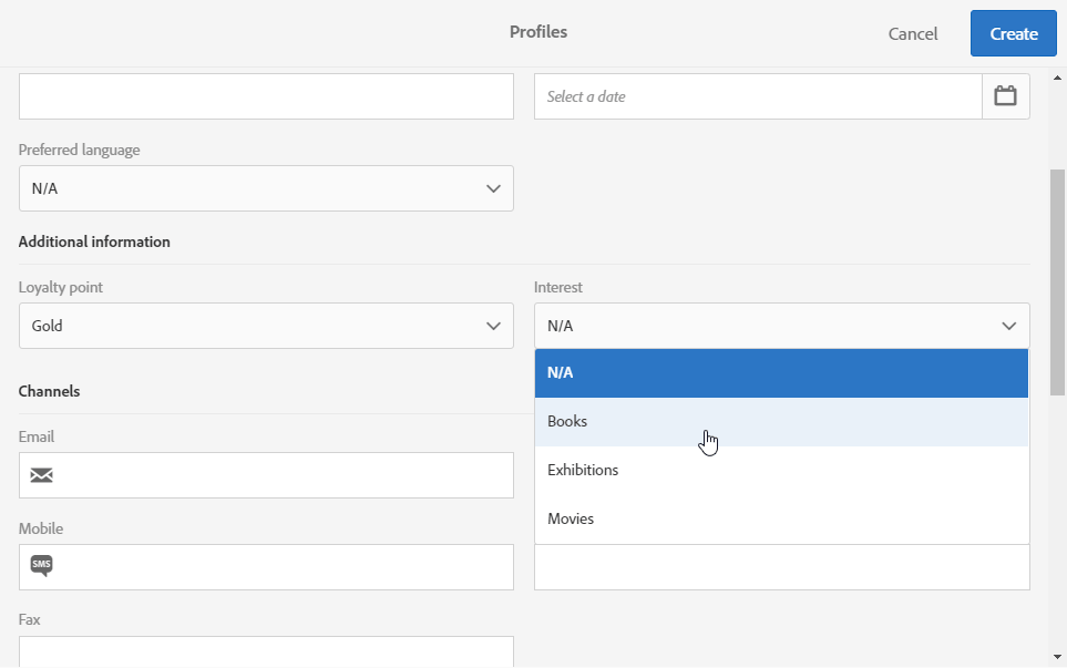 Extending the profile resource with a new field | Adobe Campaign