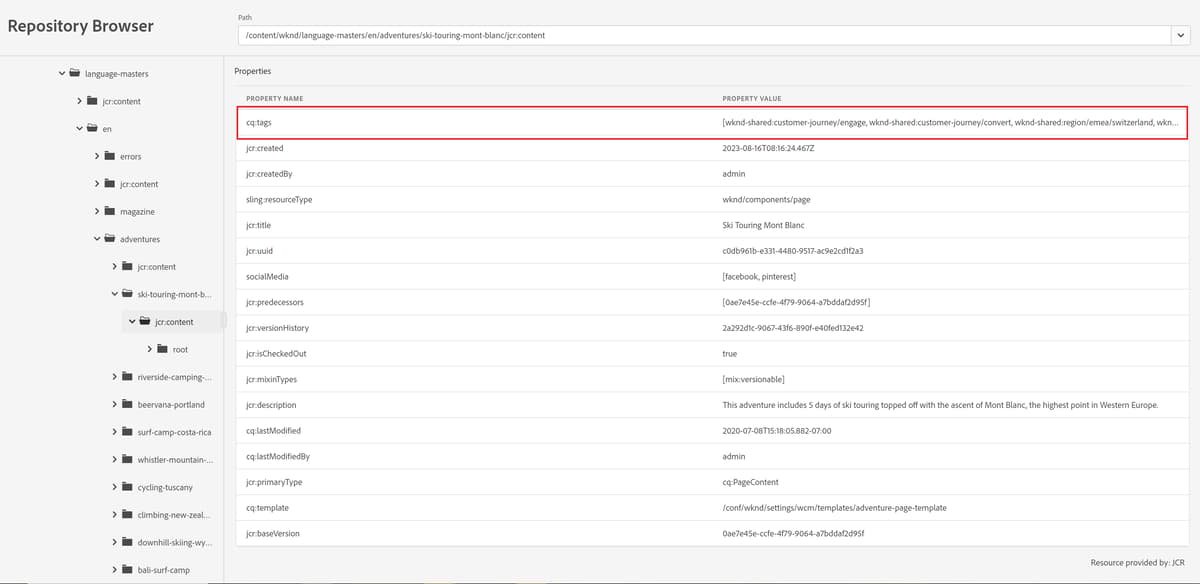 Repository Browser does not show complete values of properties | Adobe ...