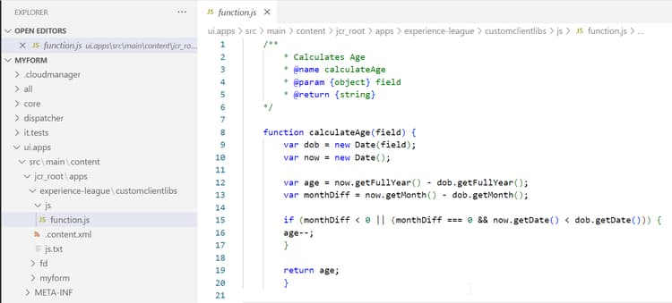 Create and add custom functions in an Adaptive Form | Adobe Experience ...