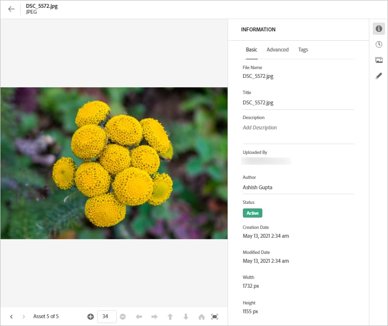 Manage metadata | Adobe Experience Manager