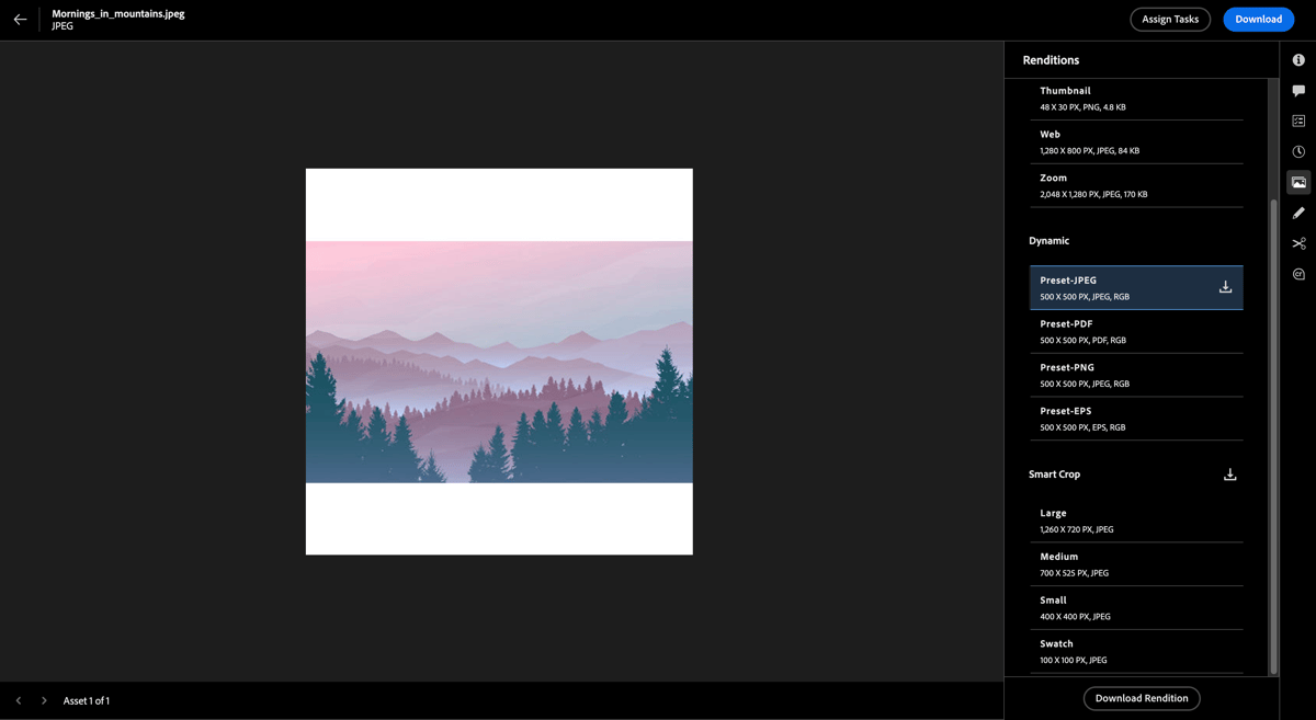 View and manage renditions in Experience Manager Assets | Adobe ...