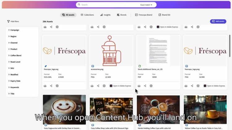 Content Hub Overview | Adobe Experience Manager