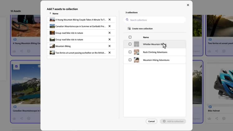 Use collections in AEM Assets Content Hub | Adobe Experience Manager