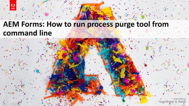 How to run process purge tool from command line | Adobe Experience Manager