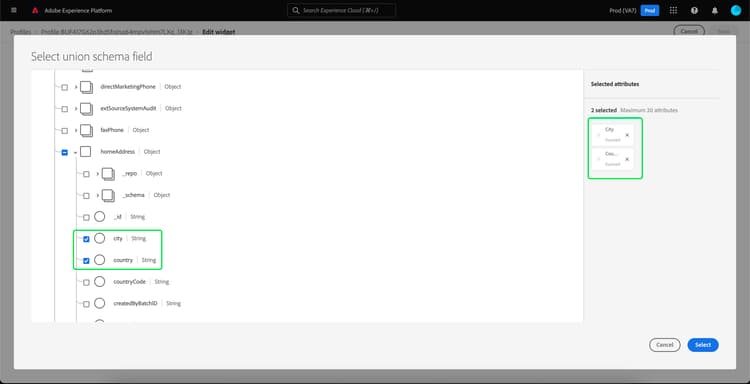 Profile Detail Customization in the UI | Adobe Experience Platform