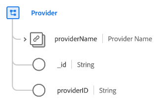 Provider Class | Adobe Experience Platform