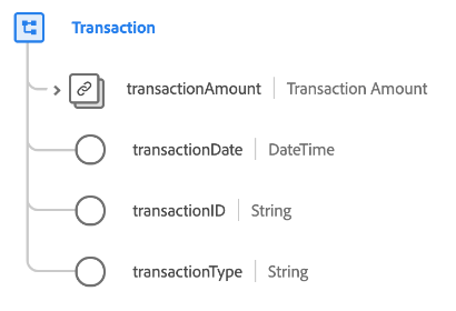 Transaction Data Type | Adobe Experience Platform