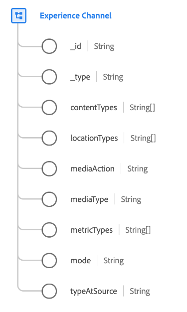 Experience Channel Data Type | Adobe Experience Platform