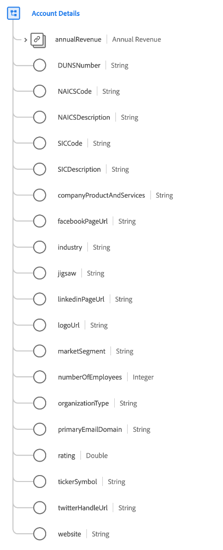 Account Details Data Type Adobe Experience Platform 