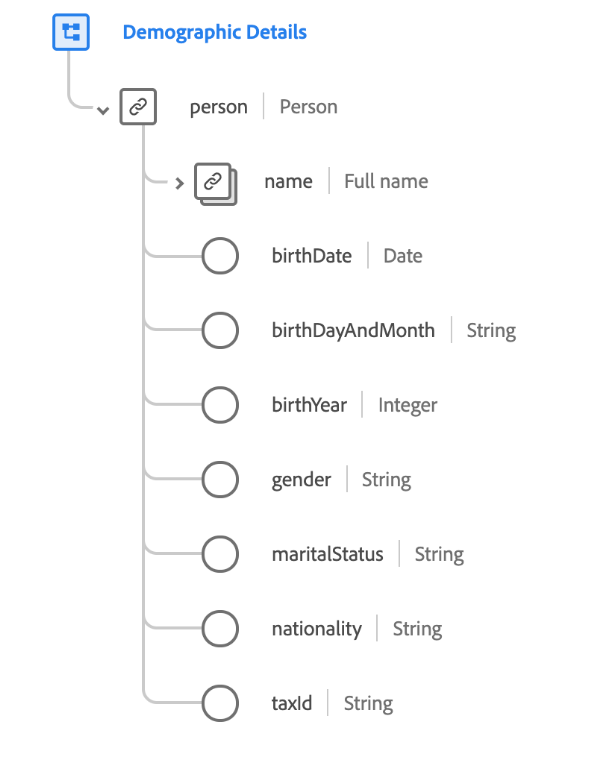 Demographic Details Schema Field Group Adobe Experience Platform