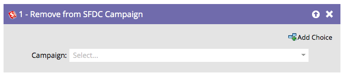 Remove from SFDC Campaign | Adobe Marketo Engage