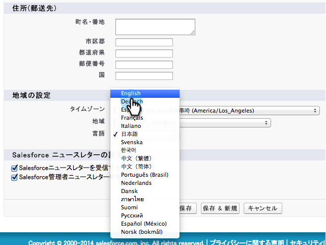 Enable Non-English Custom Object Sync | Adobe Marketo Engage