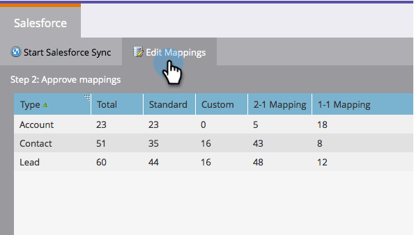 Edit Initial Field Mappings | Adobe Marketo Engage