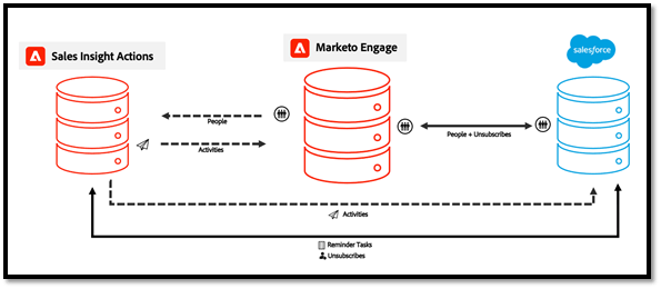 Sync Sales Action Data with Marketo and Salesforce | Adobe Marketo Engage