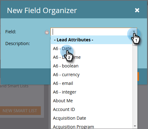 Using Field Organizers | Adobe Marketo Engage