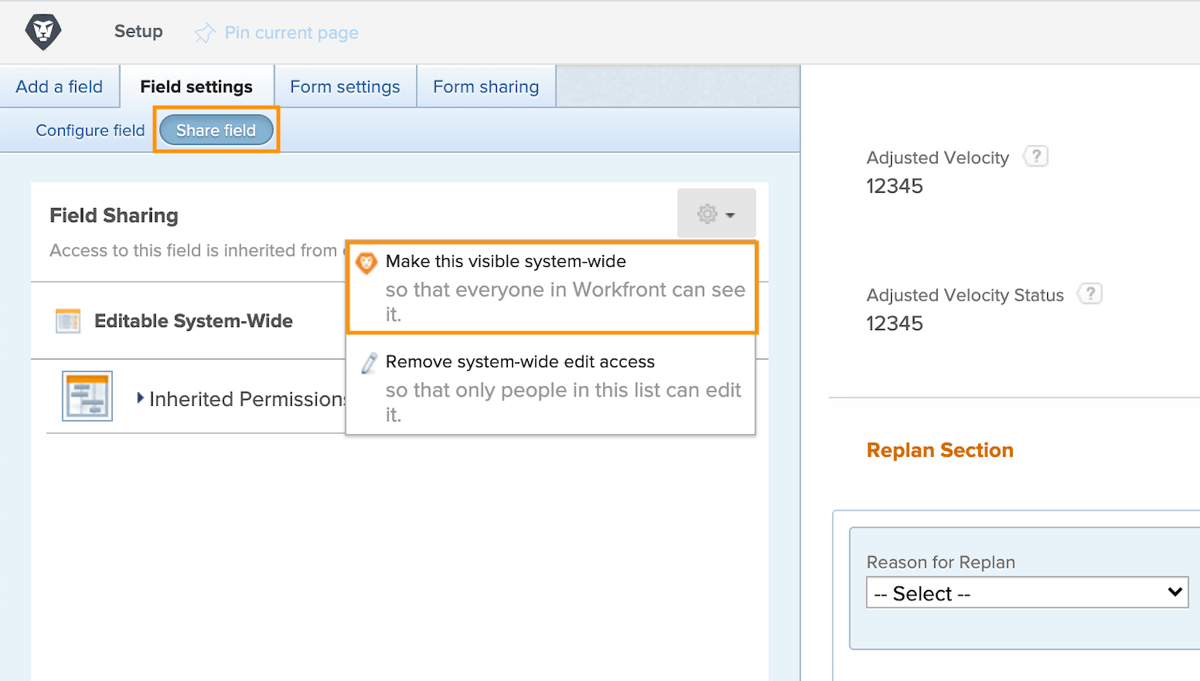 Share custom fields | Adobe Workfront