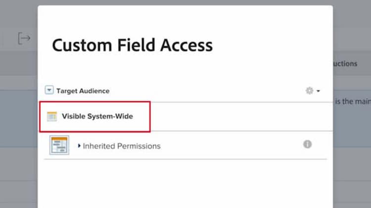 Share custom fields | Adobe Workfront