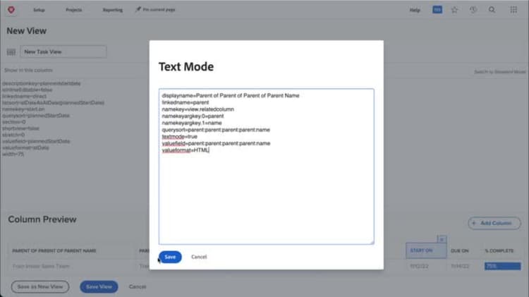 Understand basic text mode for views | Adobe Workfront