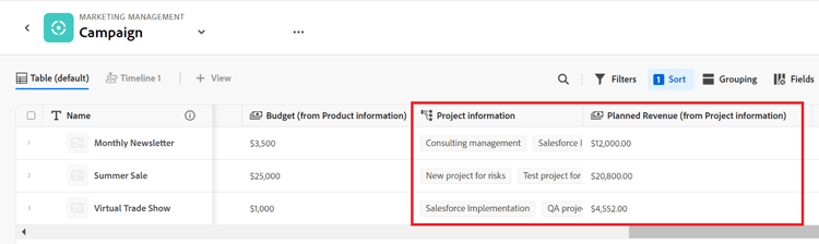 Example of Connecting Record Types and Records | Adobe Workfront