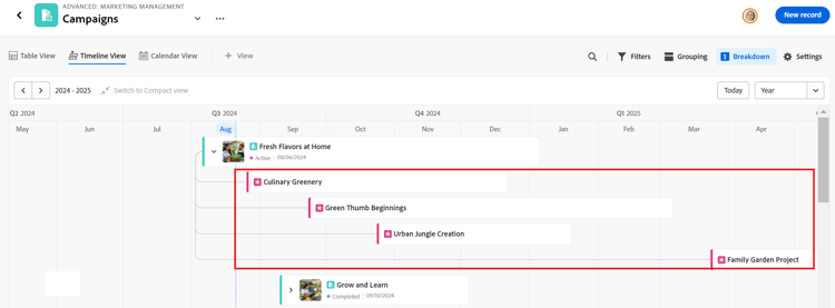 Manage the timeline view | Adobe Workfront