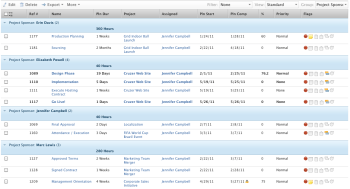 Grouping: Project Sponsor for a task list | Adobe Workfront