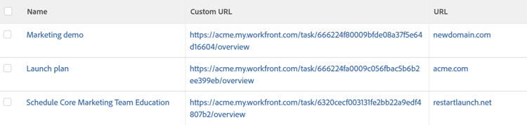 View: External URL Using Custom Data Field | Adobe Workfront