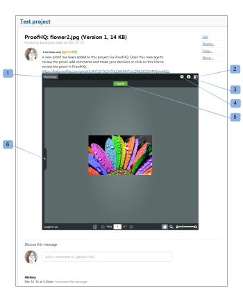 Create a Mini proof in Workfront Proof | Adobe Workfront