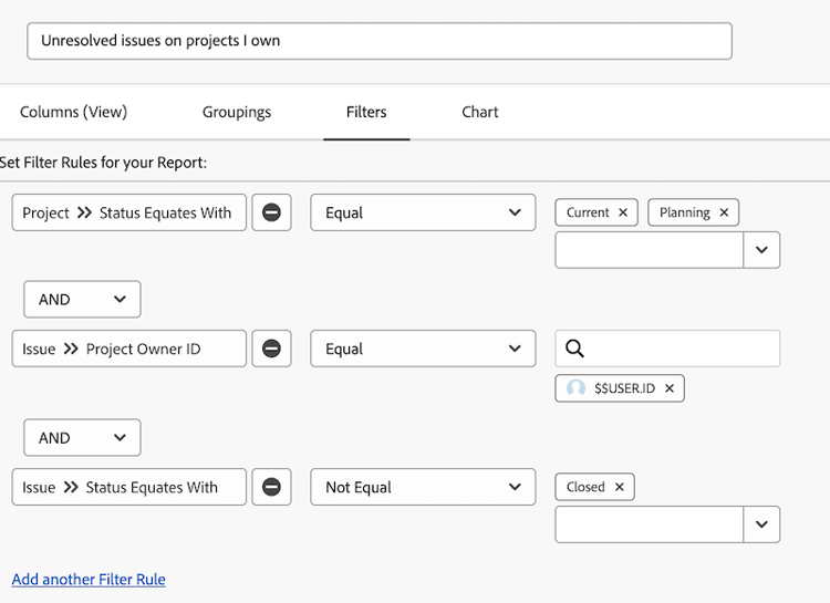 Explicación de los filtros de problema integrados | Adobe Workfront