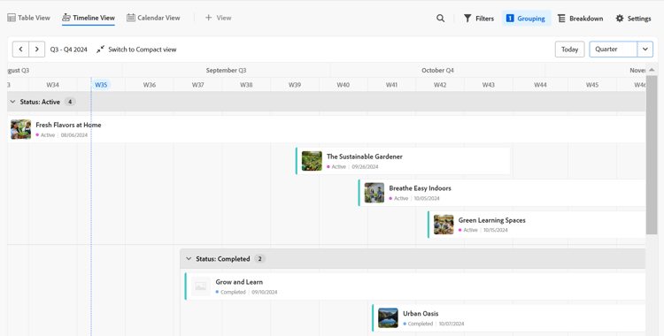 Administrar la vista de cronología | Adobe Workfront