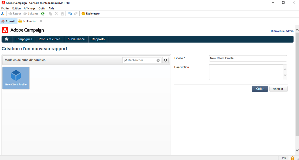 Utiliser des cubes pour créer des rapports sur mes données | Adobe Campaign