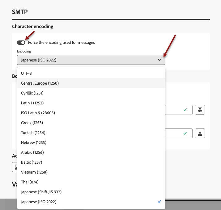 Configurare le impostazioni di consegna | Adobe Campaign