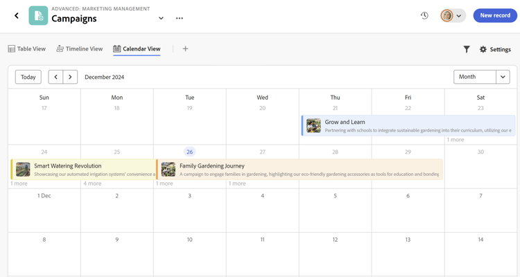 Gestire la visualizzazione calendario | Adobe Workfront
