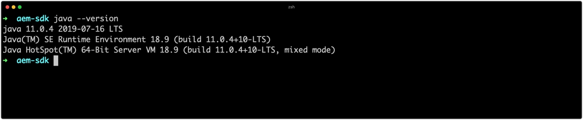 AEM as a Cloud Service 開発用の開発ツールの設定 | Adobe Experience Manager