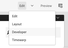 개발자 모드 | Adobe Experience Manager