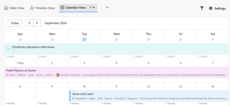 Adobe Workfront规划概述 | Adobe Workfront