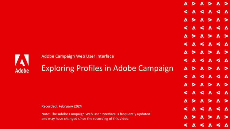 探索 Adobe Campaign Web 使用者介面的設定檔 | Adobe Campaign