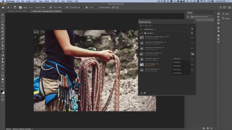 Adobe Asset Link 面板概觀 | Adobe Experience Manager